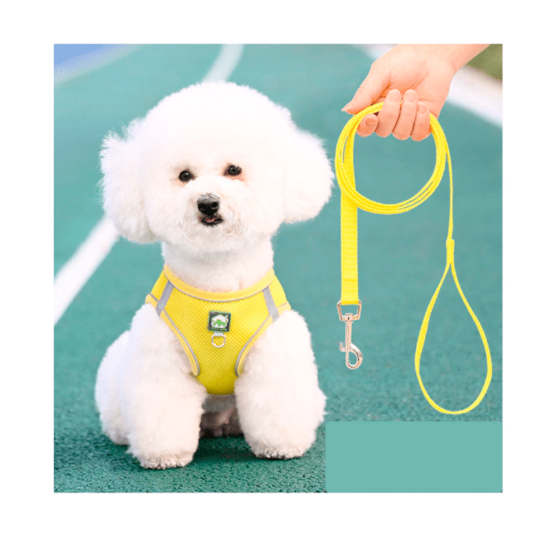 Pechera con Traílla Sencilla para Perro - Ser Mascotas